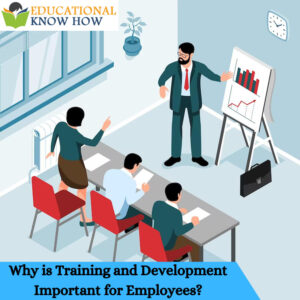 Why is Training and Development Important for Employees
